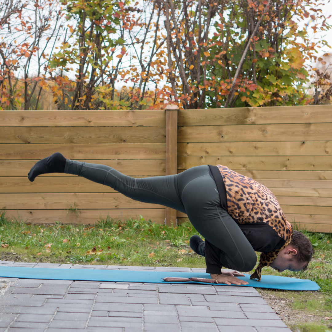 Yin To Yang Yoga - Yogautmaningar