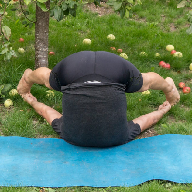 Alobout Iconic Asanas - Yogautmaningar