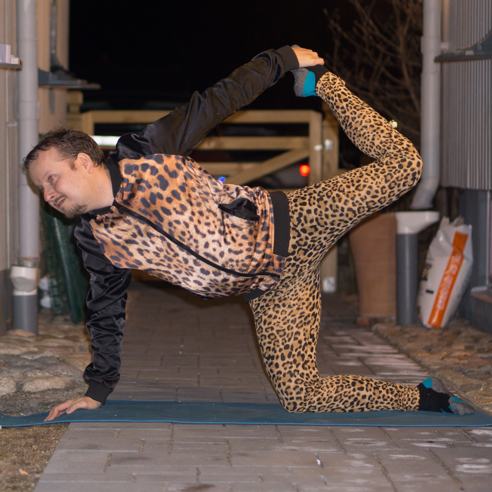 Wildlife Yogis - Yogautmaningar
