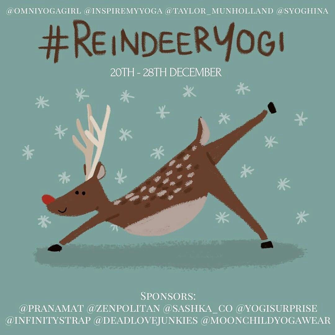 Reindeer Yogi - Yogautmaningar